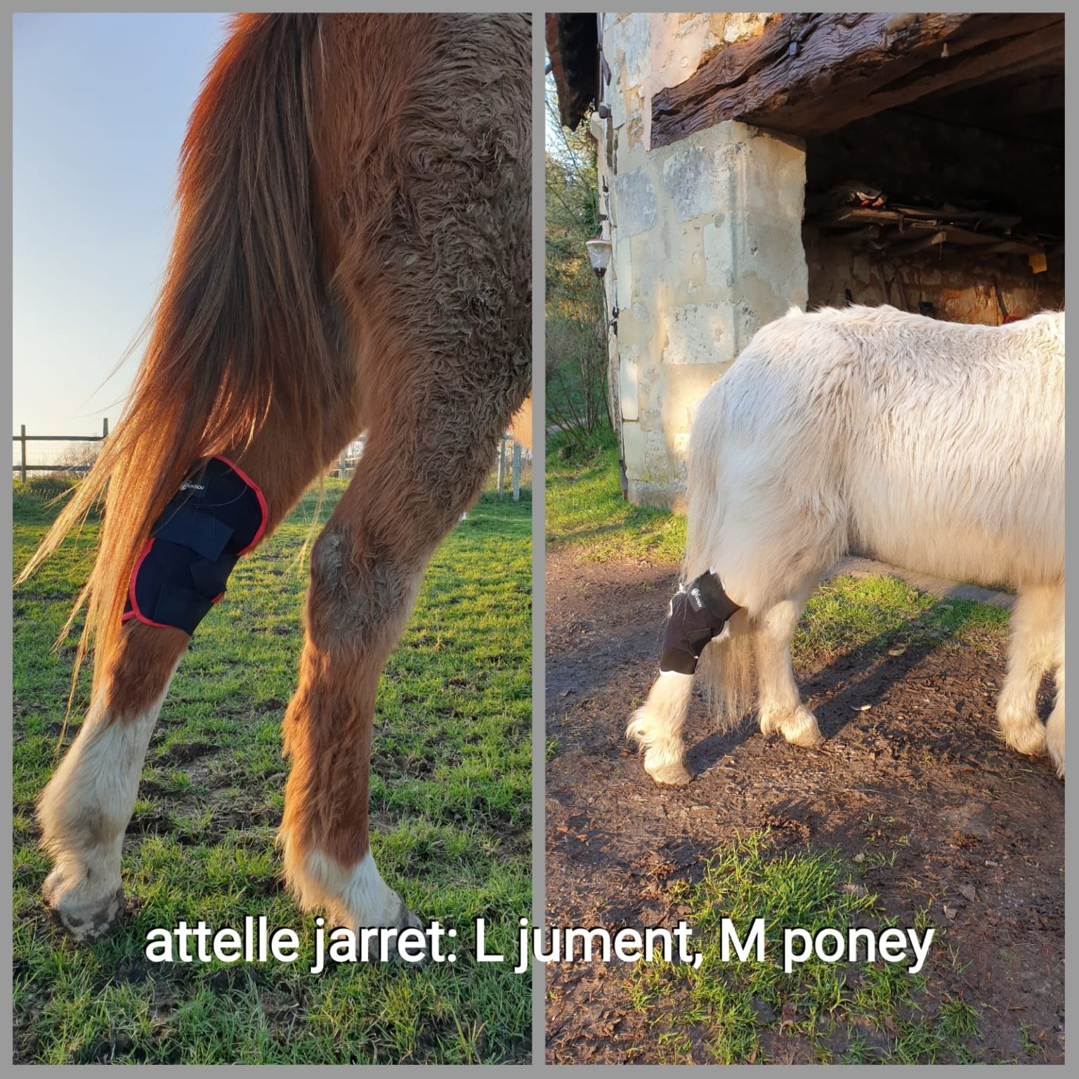 Compressive Cryotherapy - Novetech Surgery