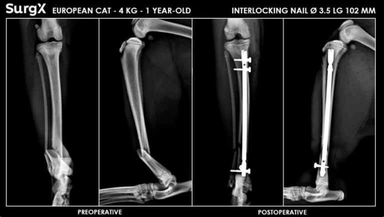 Osteosynthesis - Novetech Surgery