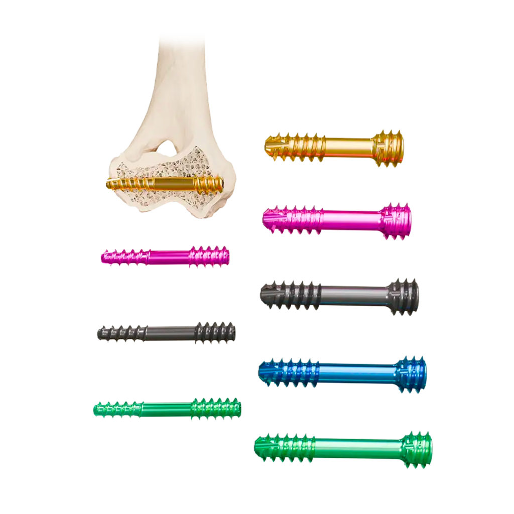 FUSION IMPLANTS – HISS - Novetech Surgery